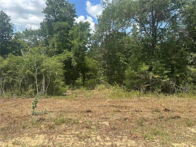 000 County Road 322