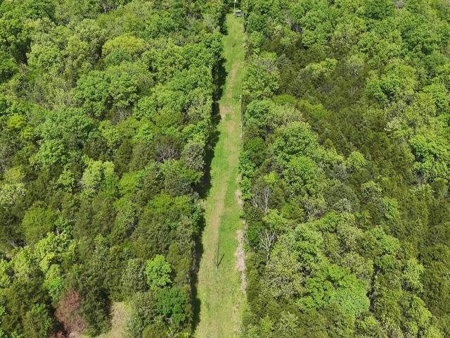 000 County Road 333
