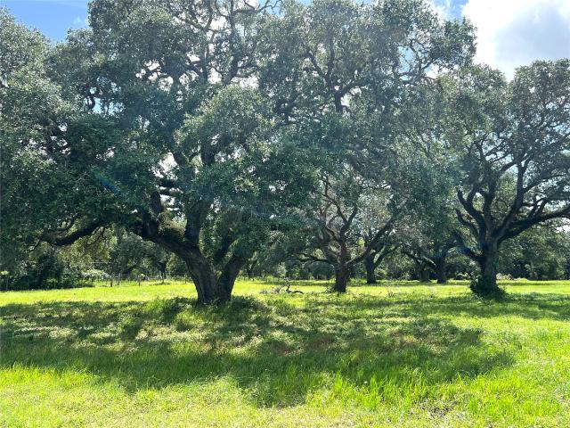 000 County Road 379
