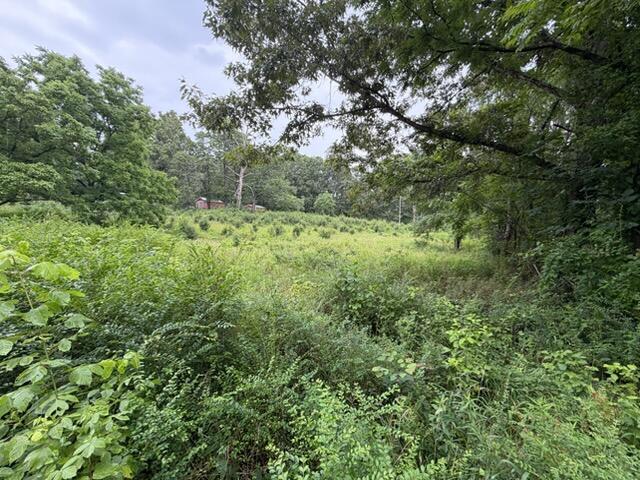 000 County Road 393 W