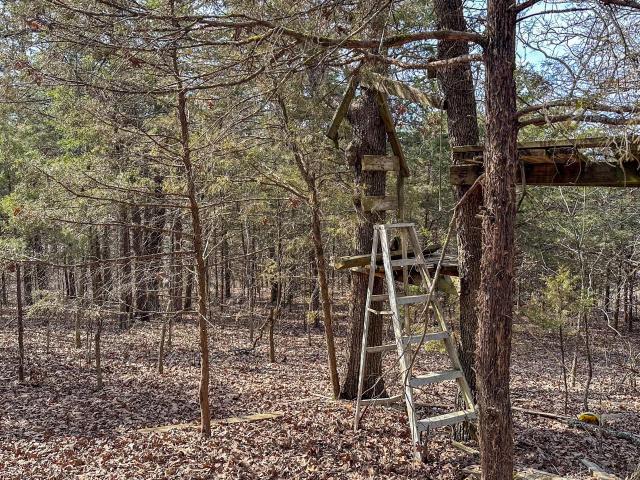 000 County Road 400 A #2