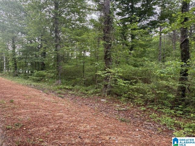 000 County Road 400 # Lot 1