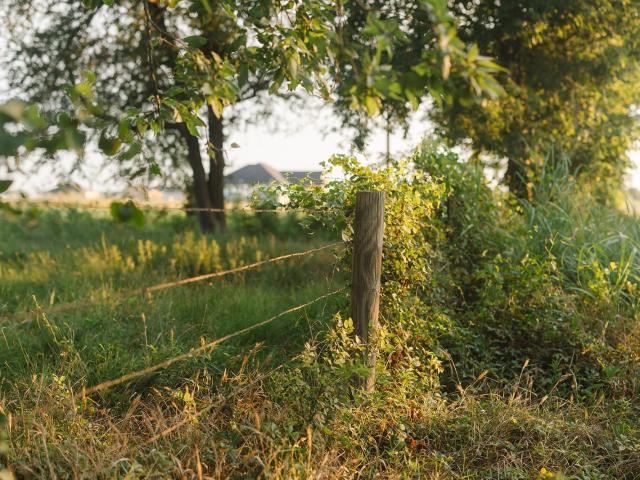 000 County Road 429