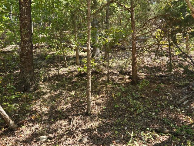 000 County Road 421