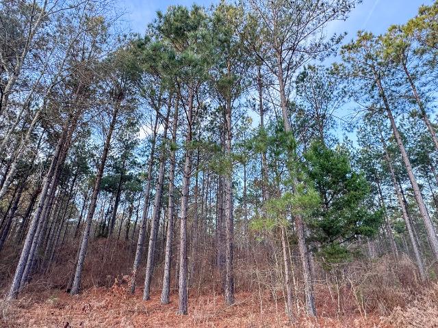000 County Road 4320