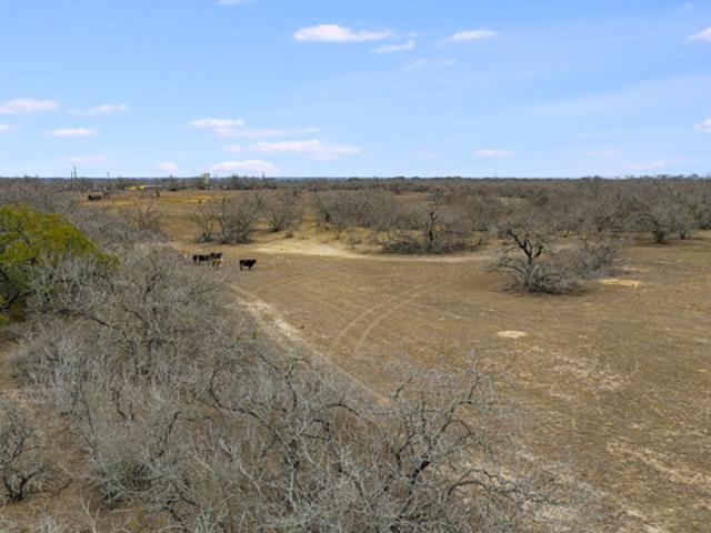 000 County Road 454