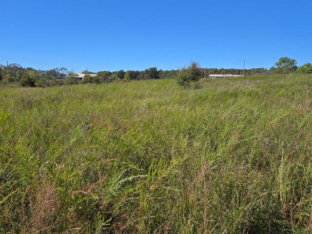 000 County Road 455