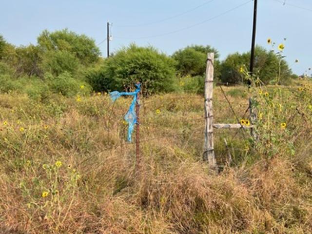 000 County Road 515