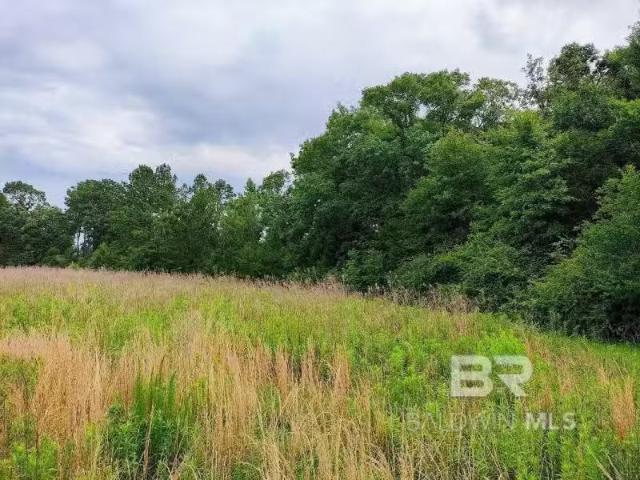 000 COUNTY ROAD 69, COFFEEVILLE, AL 36524 Vacant Land For Sale.