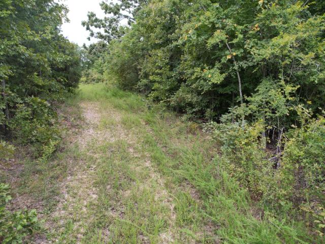 000 County Road 76 126