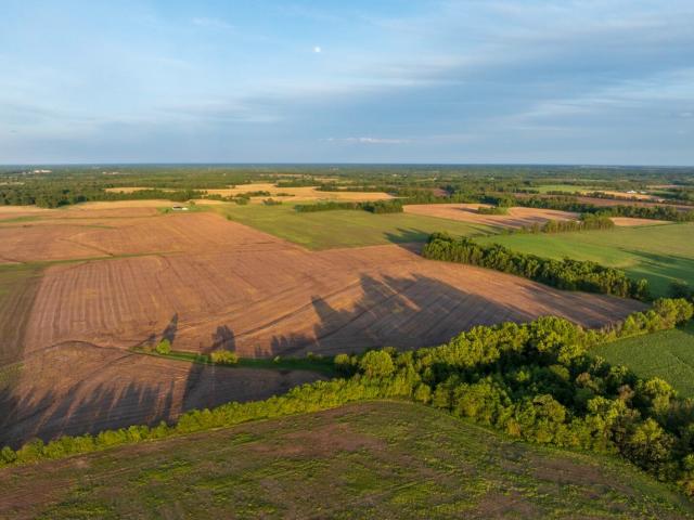 000 county road 817
