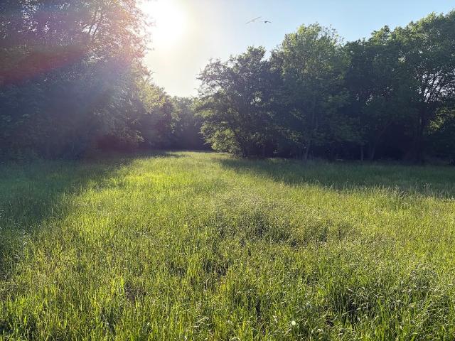 000 County Road 855
