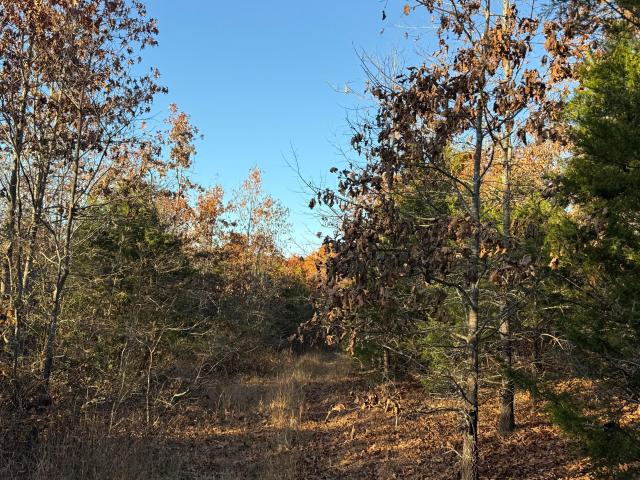 000 County Road 871