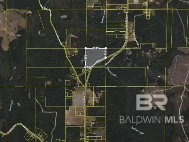 000 COUNTY ROAD 87, ROBERTSDALE, AL 36567 Vacant Land For Sale.