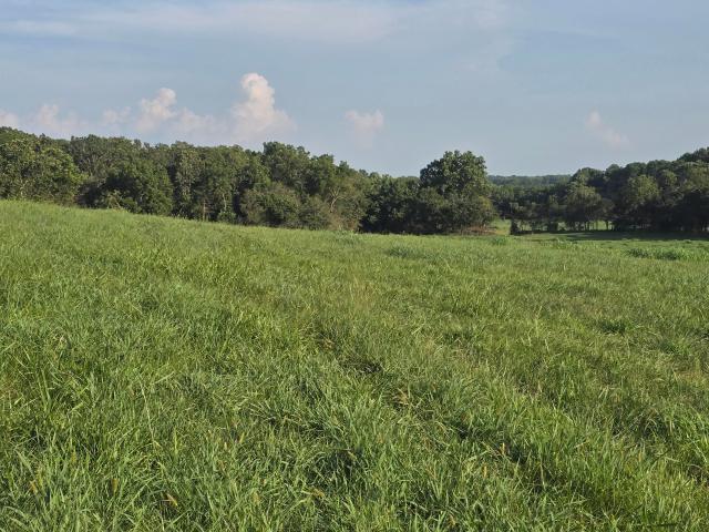 000 County Road 931
