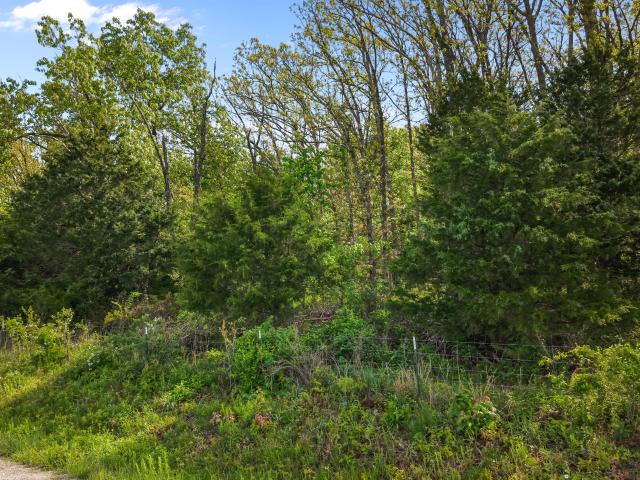 000 Country Trails Road