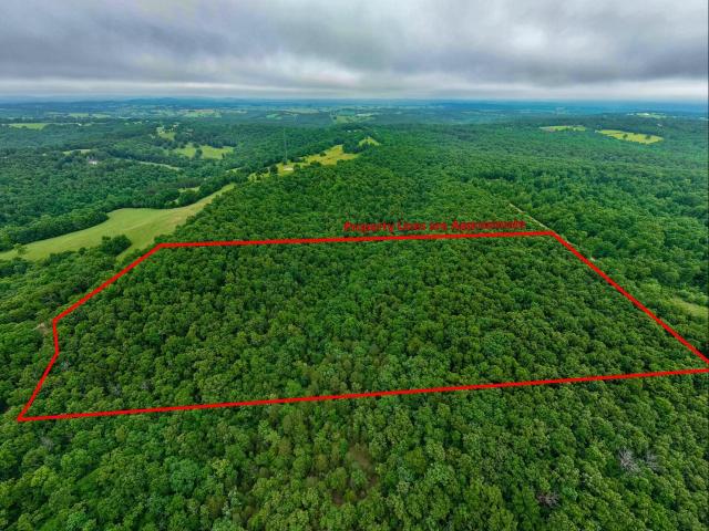 000 Co Rd 519 # Tract 1