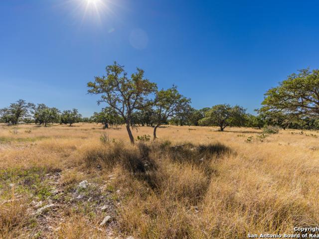 000 Cattlemans Crossing Dr