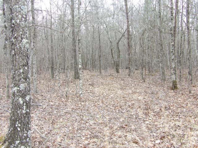 000 Camp Creek Road