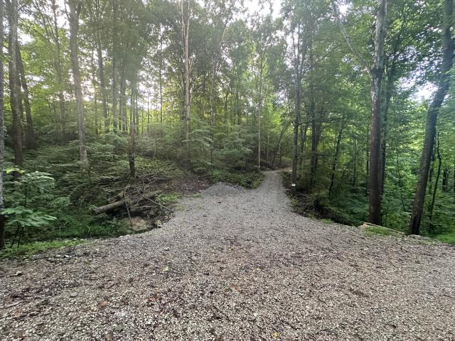 000 Cannon Hollow Rd Road