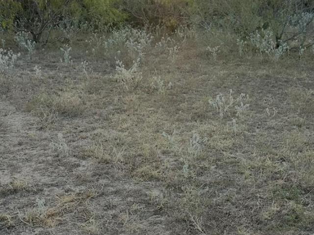 000 Carter Rd