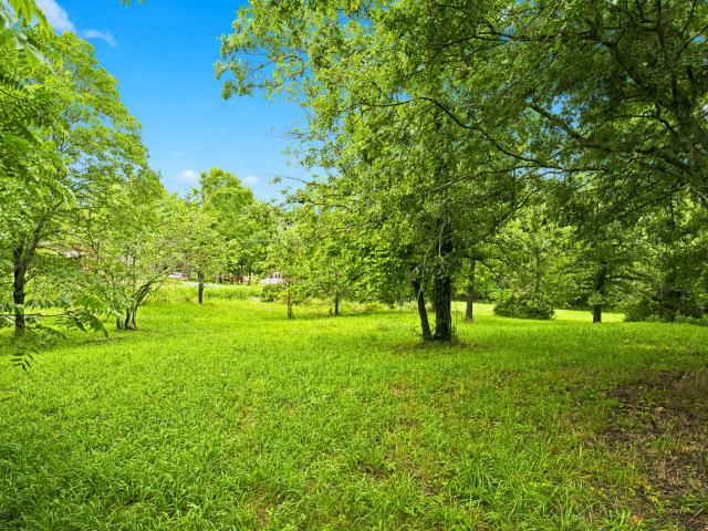 000 Cedar Cove Road