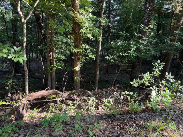 000 Cedar Lane