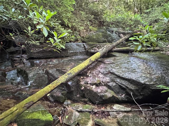000 Chestnut Oak Lane