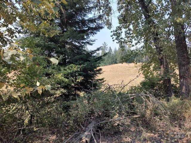000 Clear Creek 3 Ac