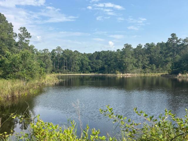000 Crane Creek Rd Road
