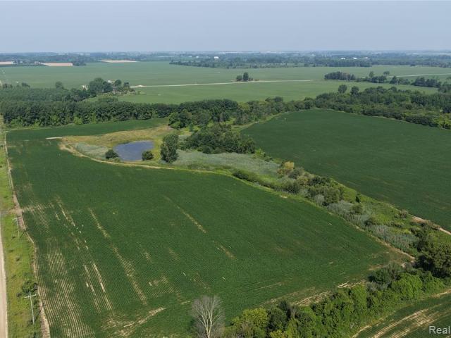 000 Custer Rd