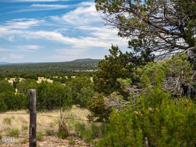 000 A Pine Ridge Trail Rd, Seligman, AZ 86337