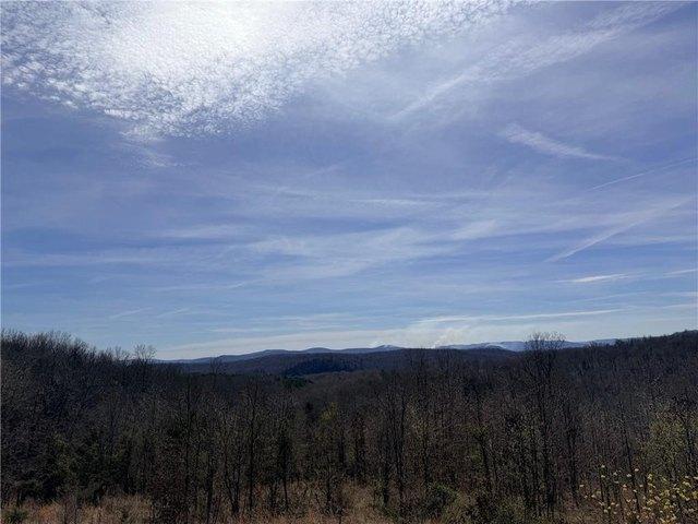Able Dr Lot 0, Saint Joe, AR 72675