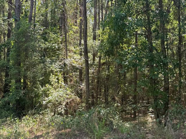 000 Appian Way
