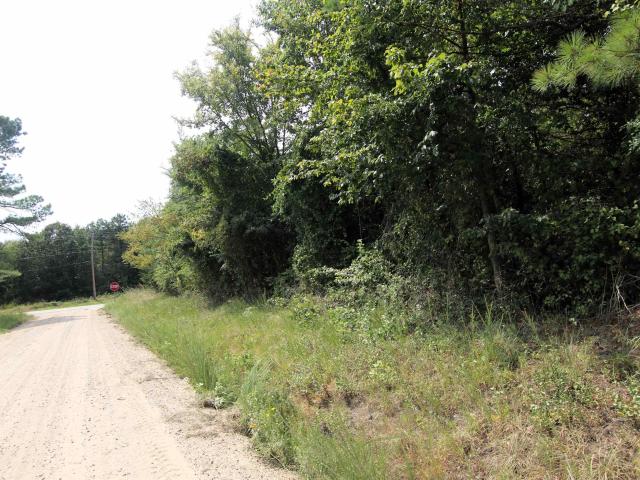 000 AR 95 Highway