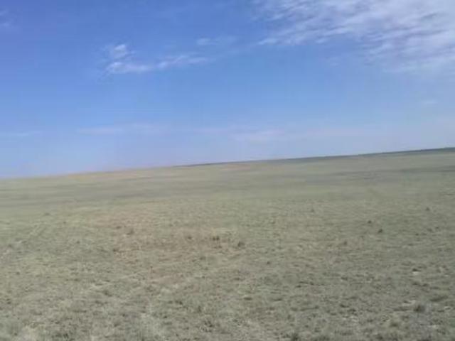 000 Book Rd, Rush, CO 80833 MLS 2892538
