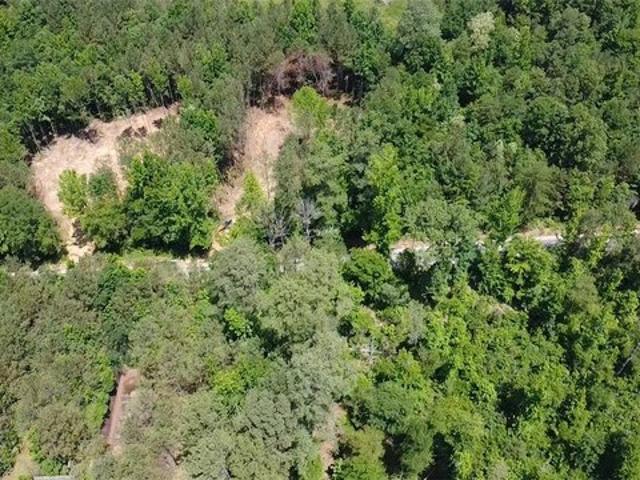 000 Bays Lake Rd Lot 7, Bankston, AL 35542
