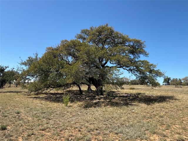 000 Barton Bend Lot 7 & Lot 6 Bnd