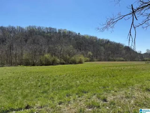 000 BERNEY STATION ROAD # 1, TALLADEGA, AL 35160 Vacant Land F.