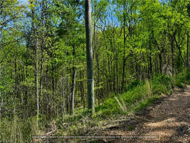 000 Big Rock Lane #Lots 8, 9 and 10