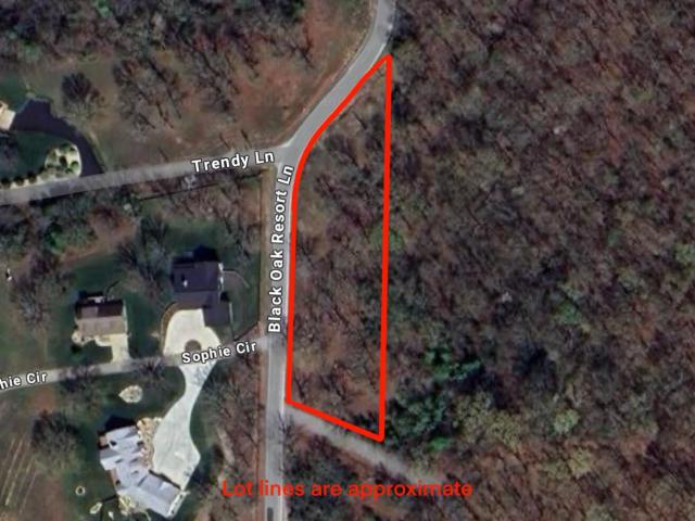 000 Black Oak Resort Lane