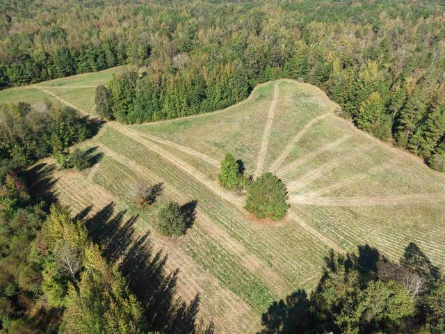 000 burgess loop rd