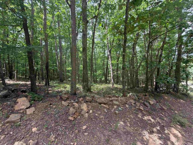000 Greentree Road