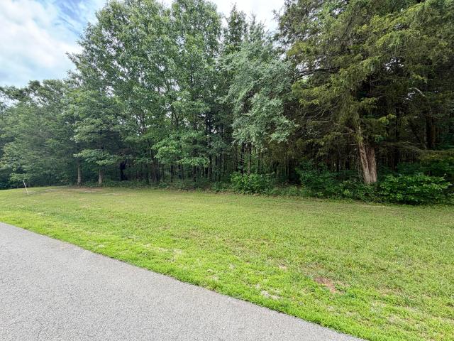 000 Green Cypress/ Eagle Pt Lt 88 Lane