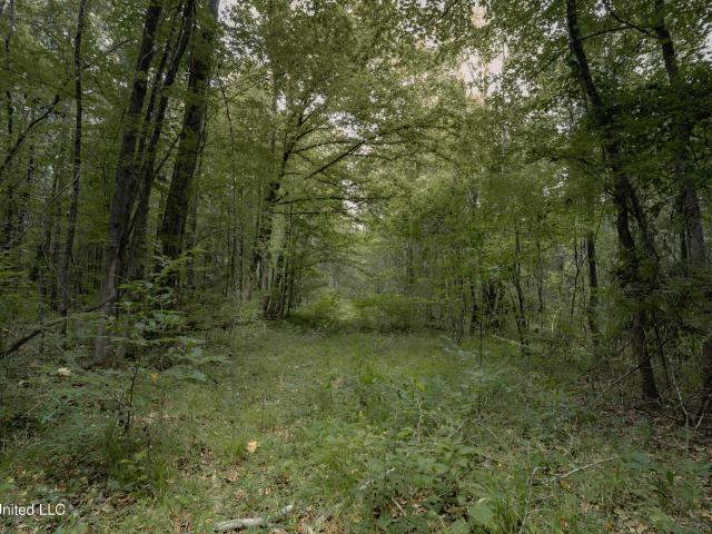 000 Dog Pen Rd