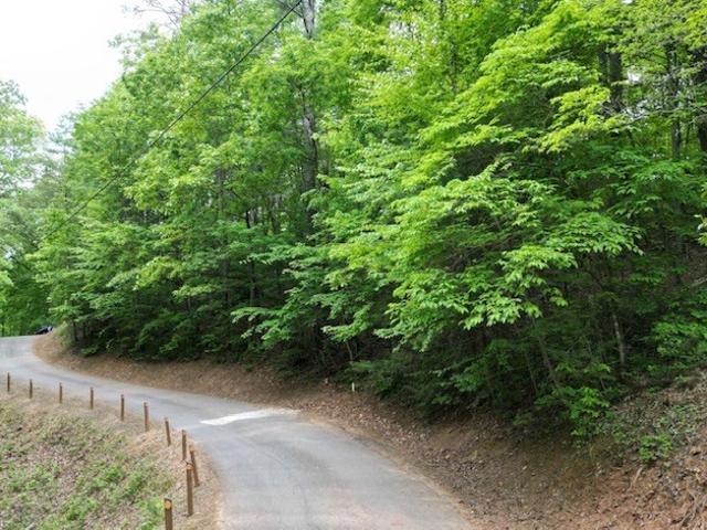 000 Dogwood Trail