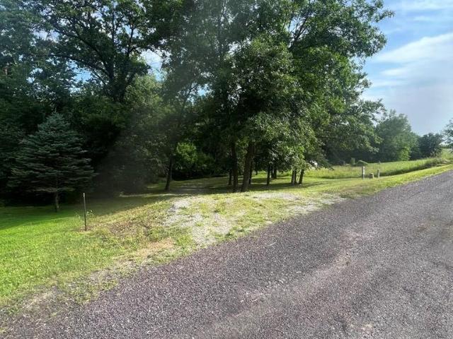 000 Dogwood Drive