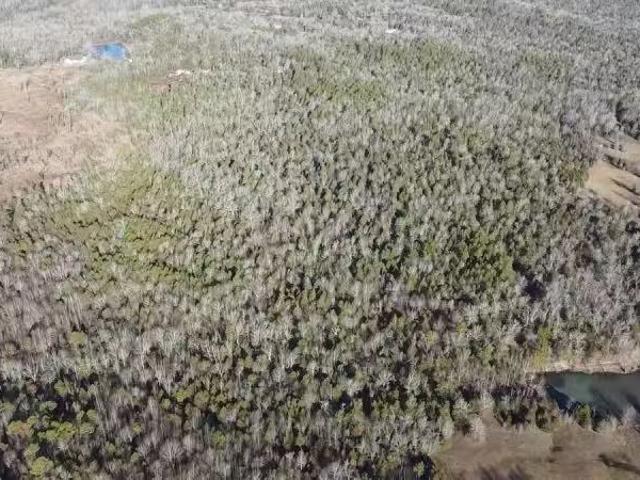 000 DEARMON TRL, LONSDALE, AR 72662 Vacant Land For Sale MLS#.
