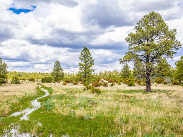 000 Dipping Vat Spring Fire Road