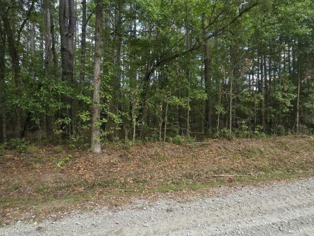 000 Drew Hill Ct